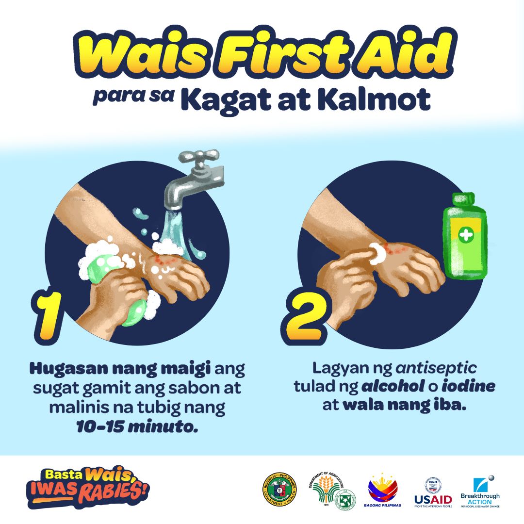 First aid kapag nakagat ng aso – Pinoy Peryodiko