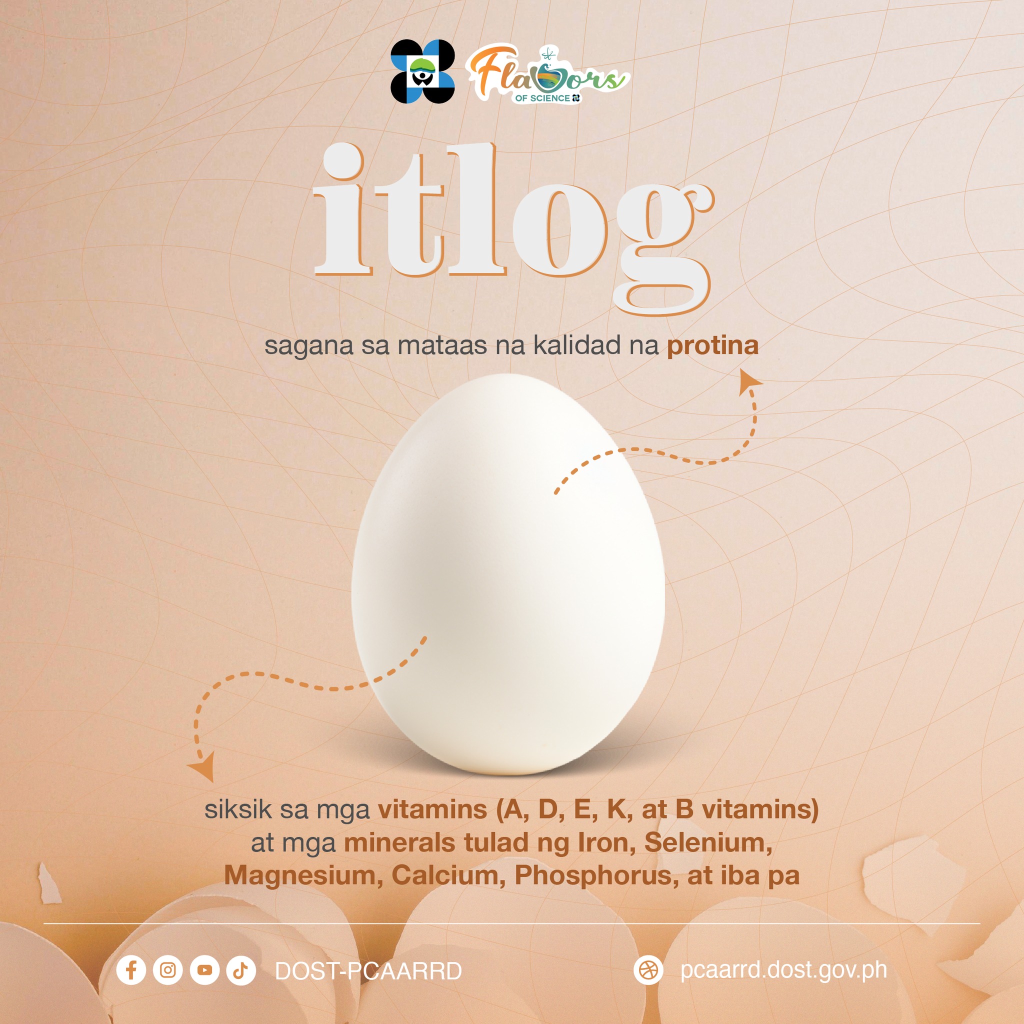 Kumain ng 1 itlog kada araw para healthy – Pinoy Peryodiko